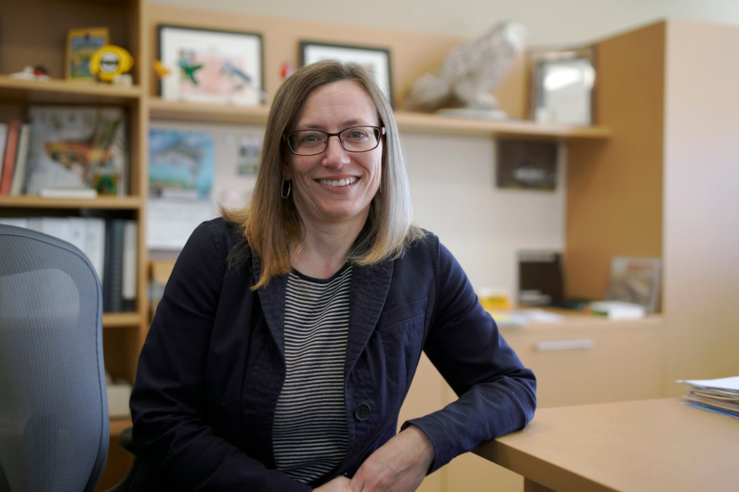 DNR Commissioner Sarah Strommen: 'Virtually no scenario' in which the ...