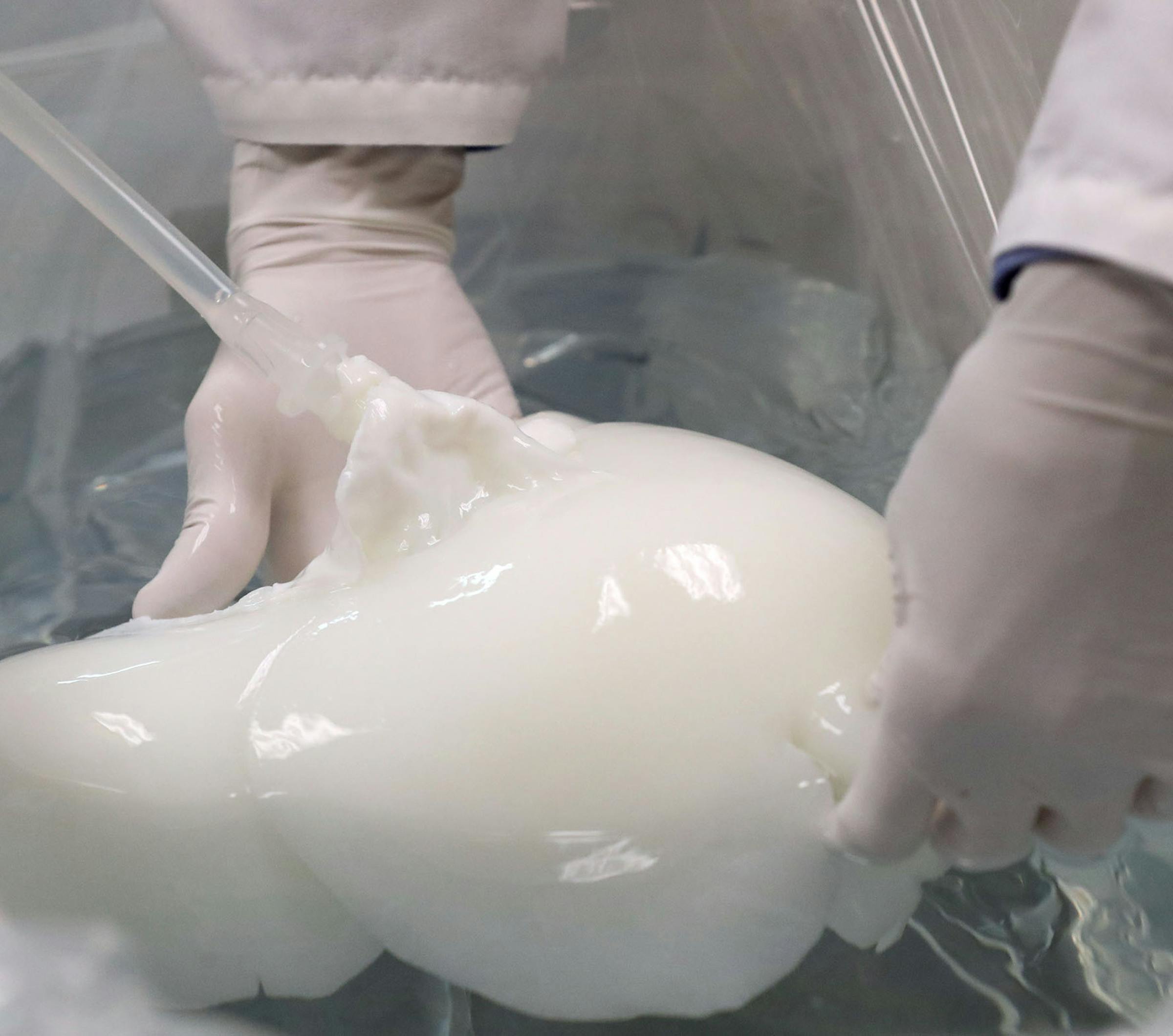 Miromatrix has high hopes for its bioengineered liver