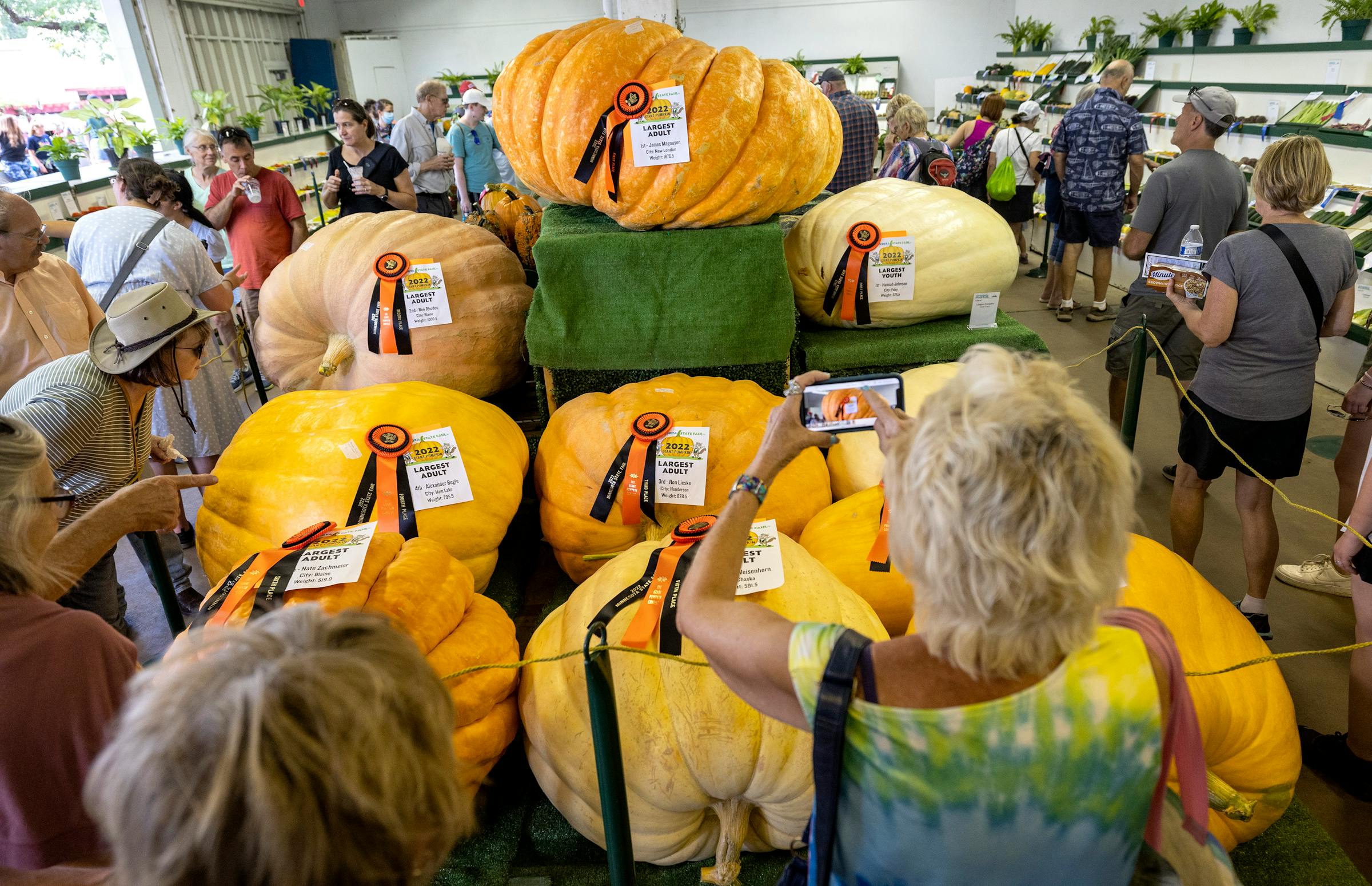 Large competitive vegetable growing at Minnesota State Fair