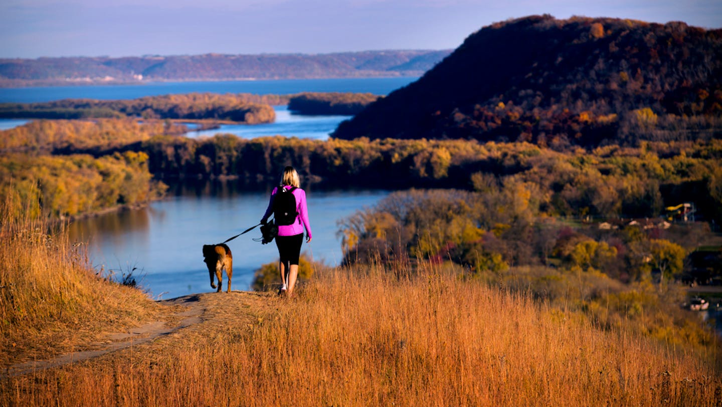 How were the bluffs of southeast Minnesota formed?