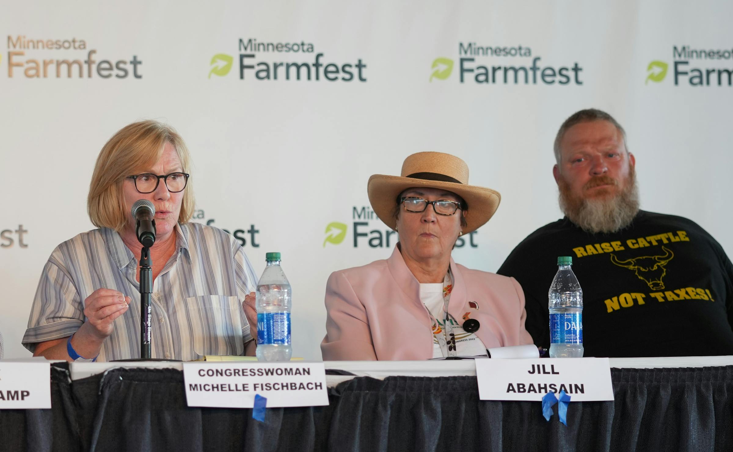 Michelle Fischbach runs for re-election in Minnesota's safest ...