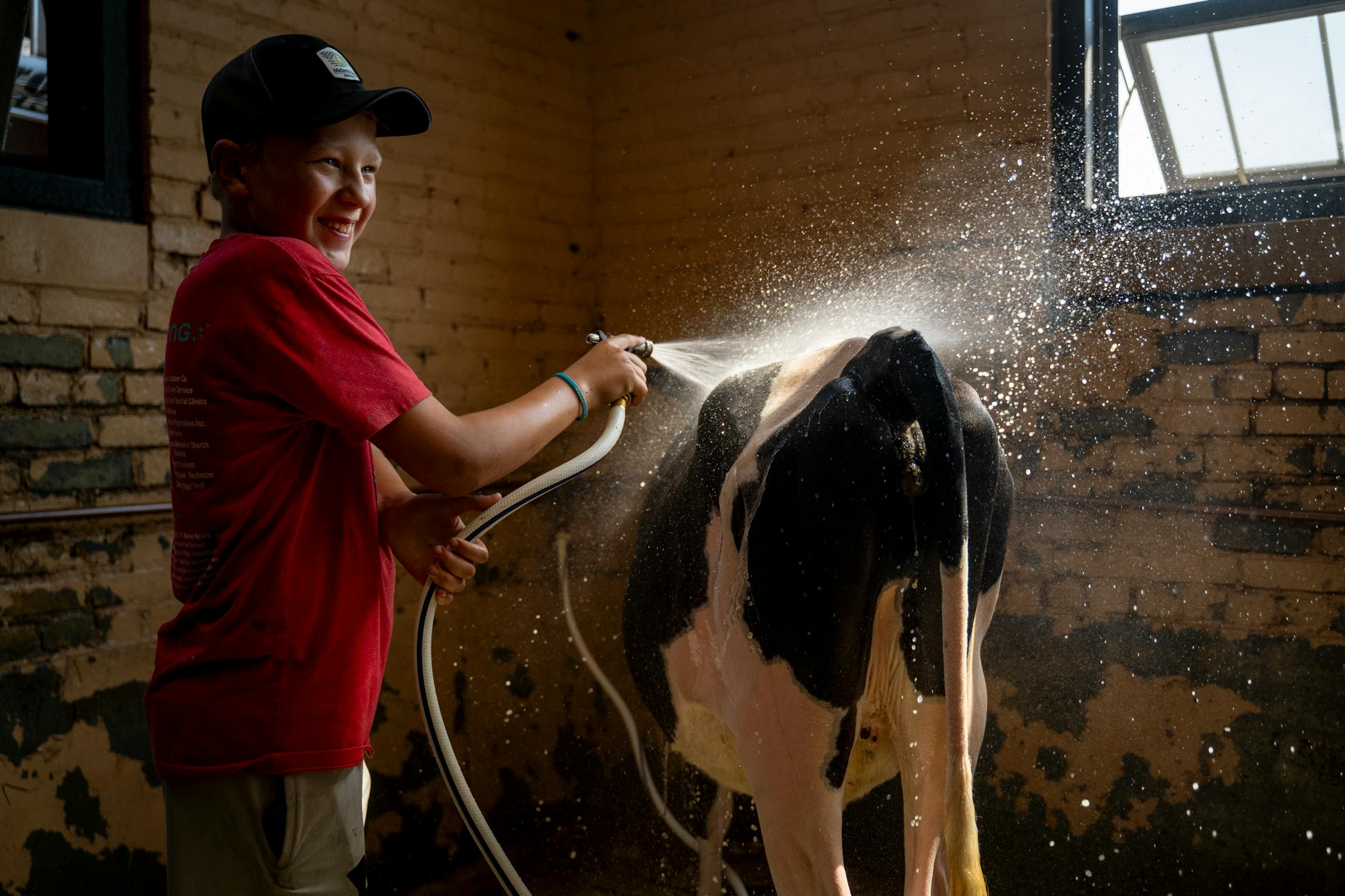 In this heat, how do Minnesota State Fair animals and their handlers cope?