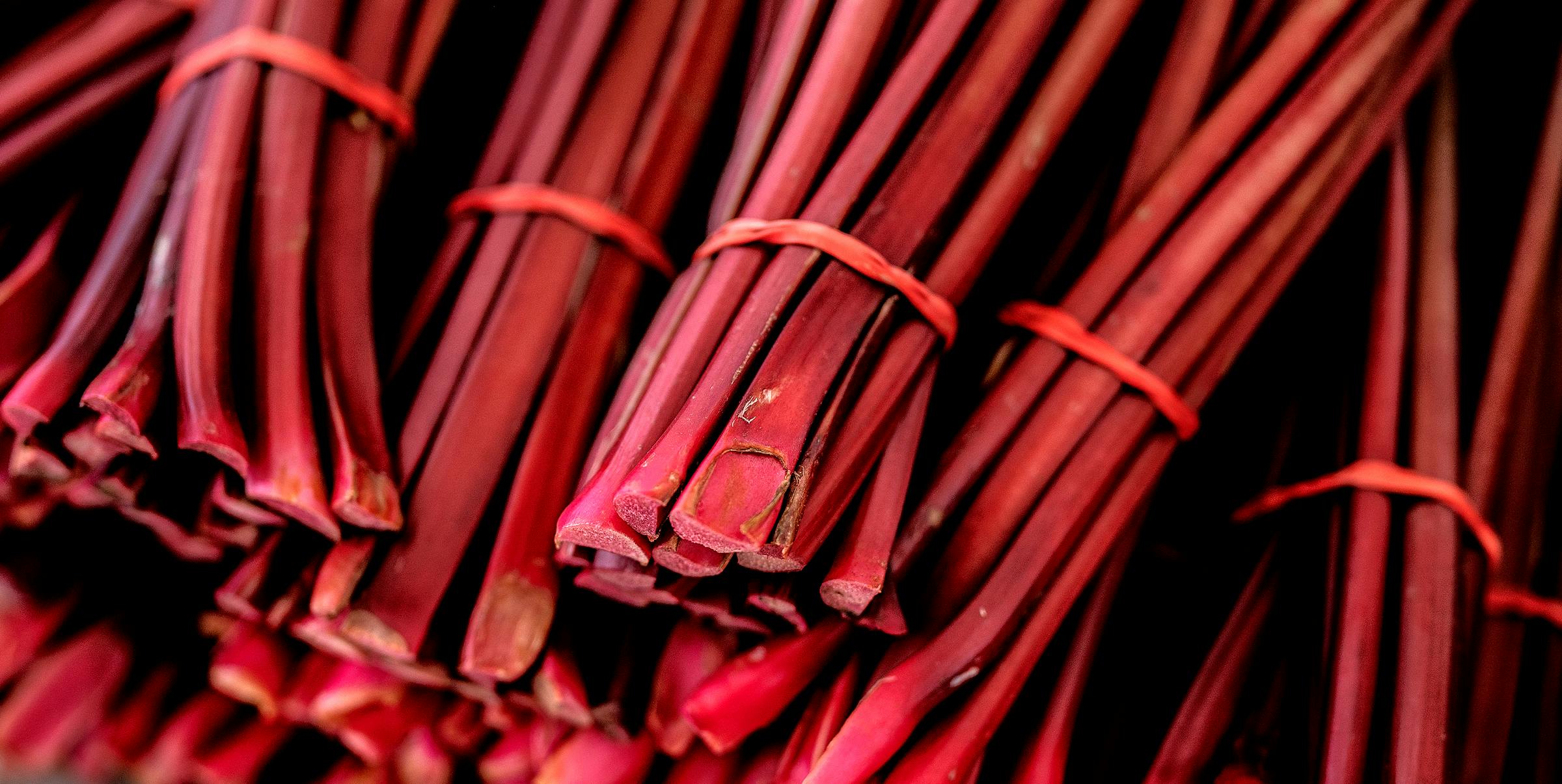 Recipes that embrace rhubarb's sweet and savory side