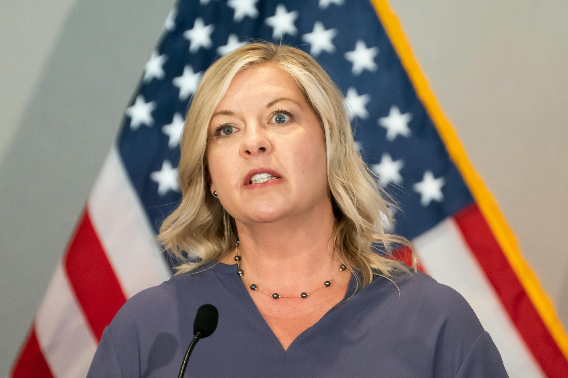 Minnesota Department of Education seeks over $500K in legal fees from ...