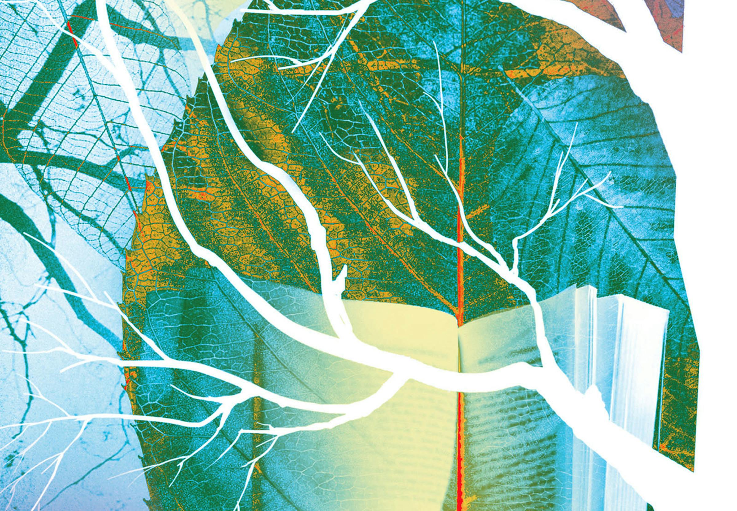 REVIEWS: "Dance" by Lightsey Darst, "If You're Lucky Is a Theory of ...