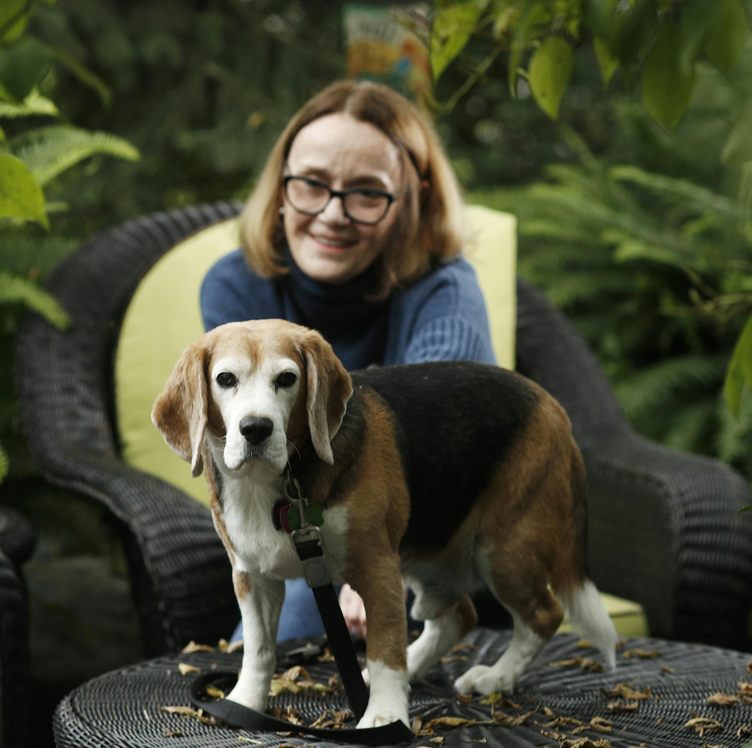 Finding Fido: Minnesota group goes high-tech to retrieve missing dogs
