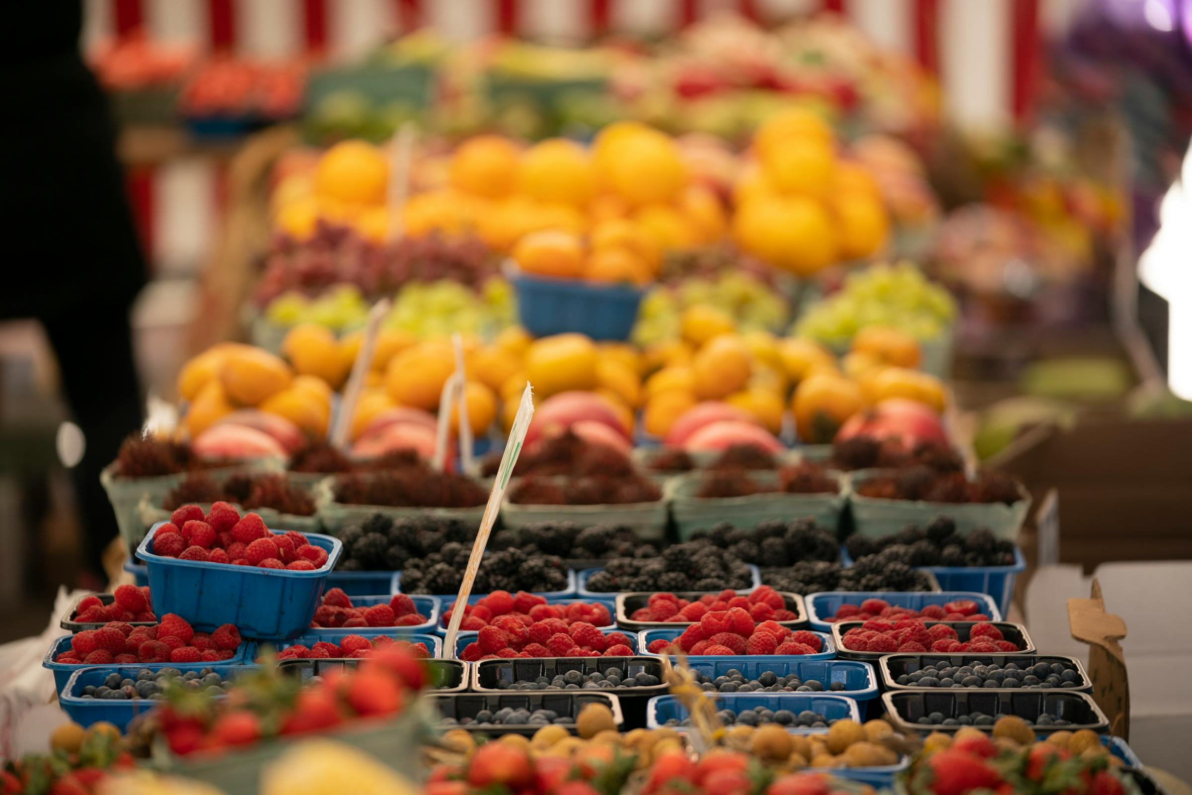 Farmers, low-income Minnesotans need Market Bucks