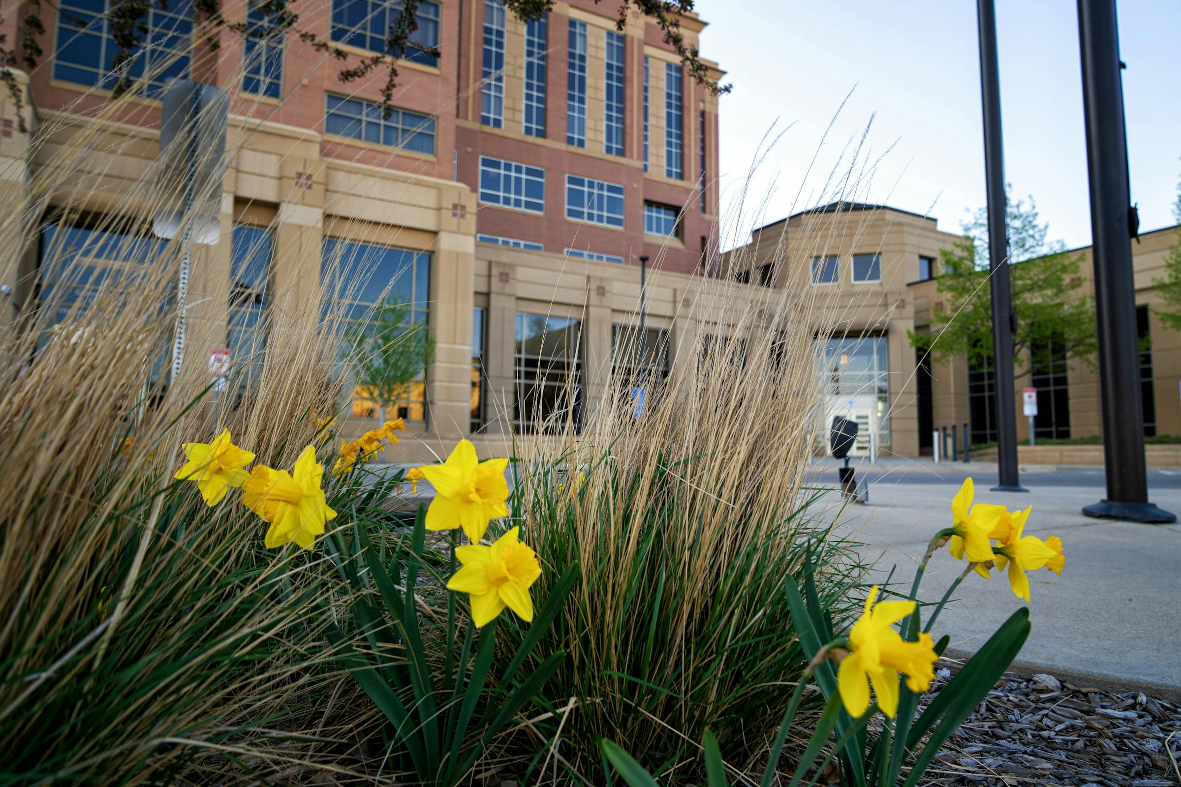 Rochester, Olmsted tussle over who has final say on undeveloped land