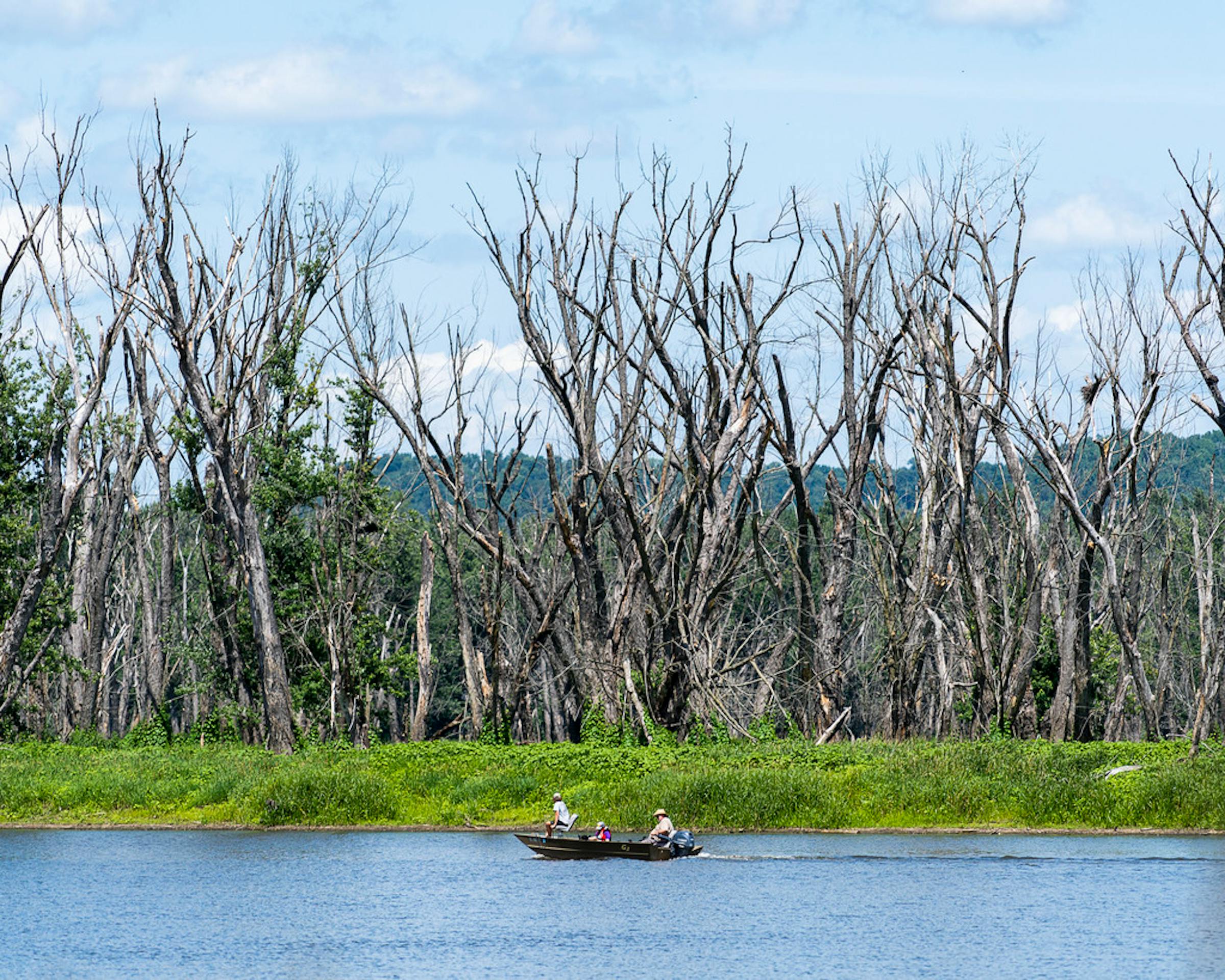 Wisconsin agrees to drop ban on carrying firearms while fishing ...