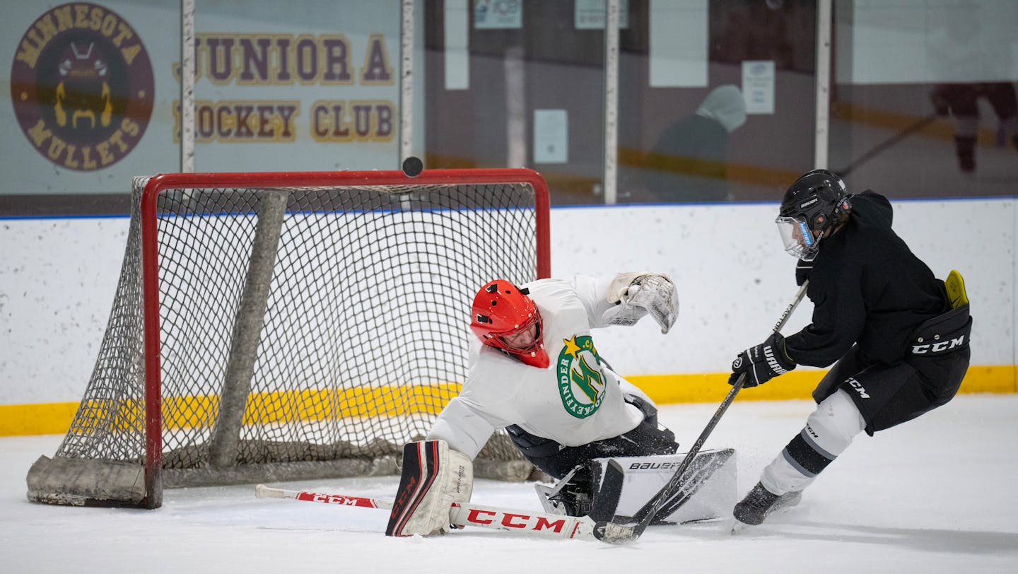 Meet Team Trans, the pioneering hockey team for transgender and ...