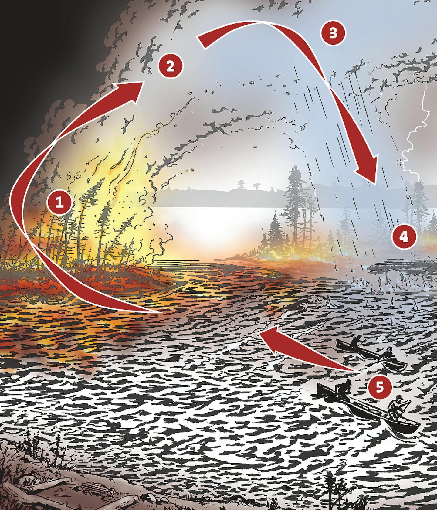 Can the BWCA be saved from fire — by fire?