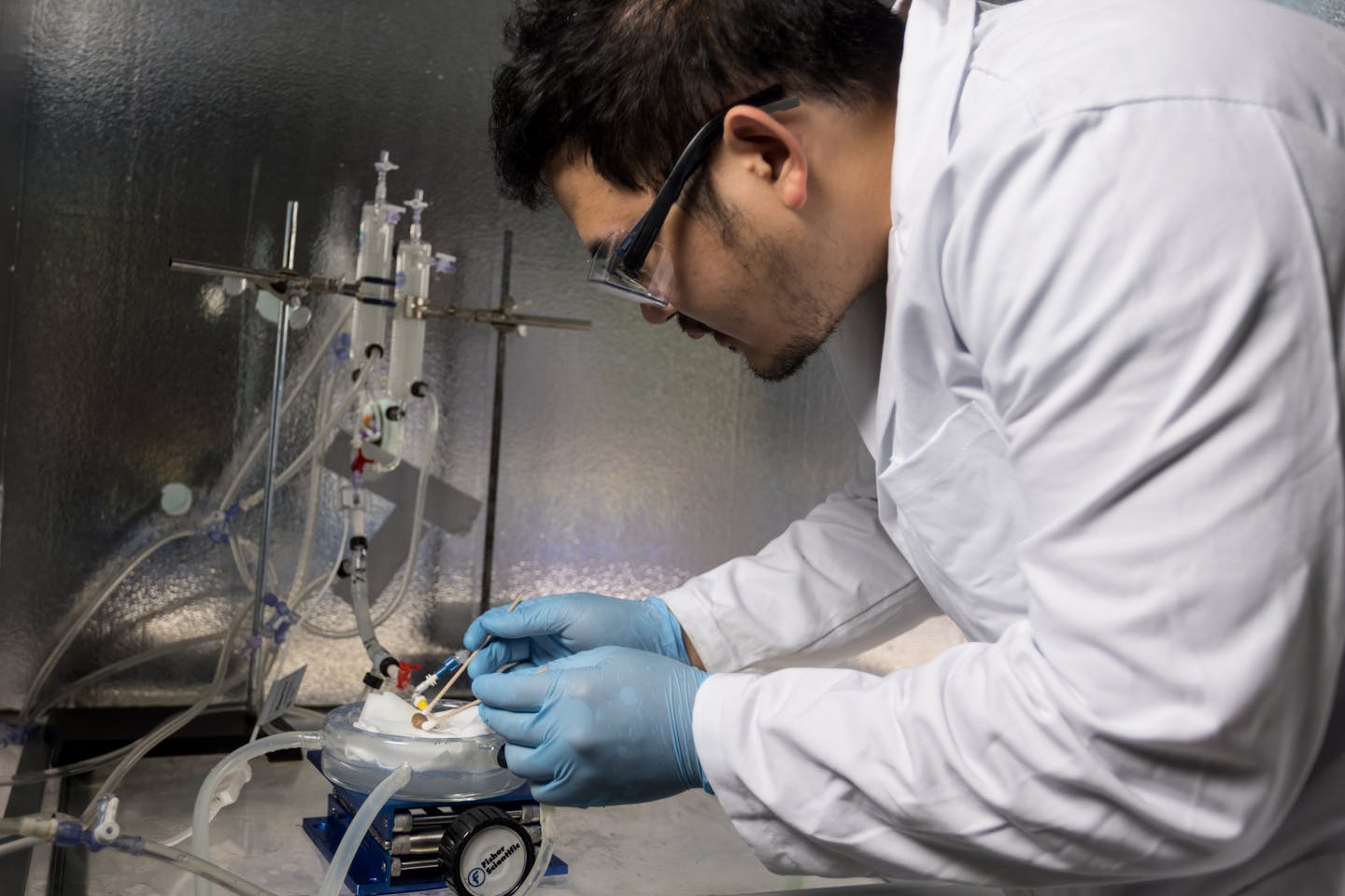 University of Minnesota achieves milestone in freezing organs before ...