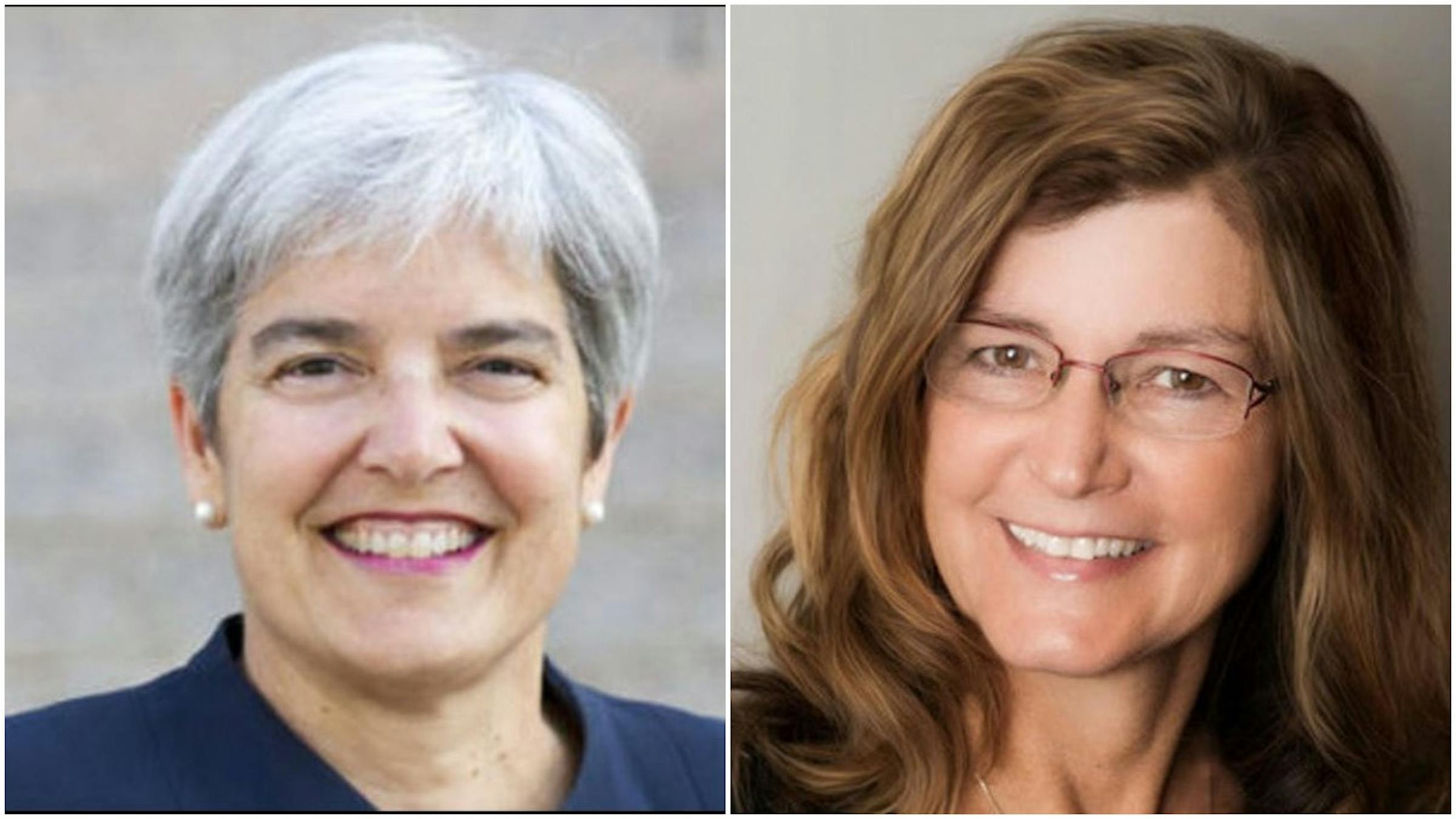 In bid to stay on Supreme Court, Margaret Chutich faces repeat ...