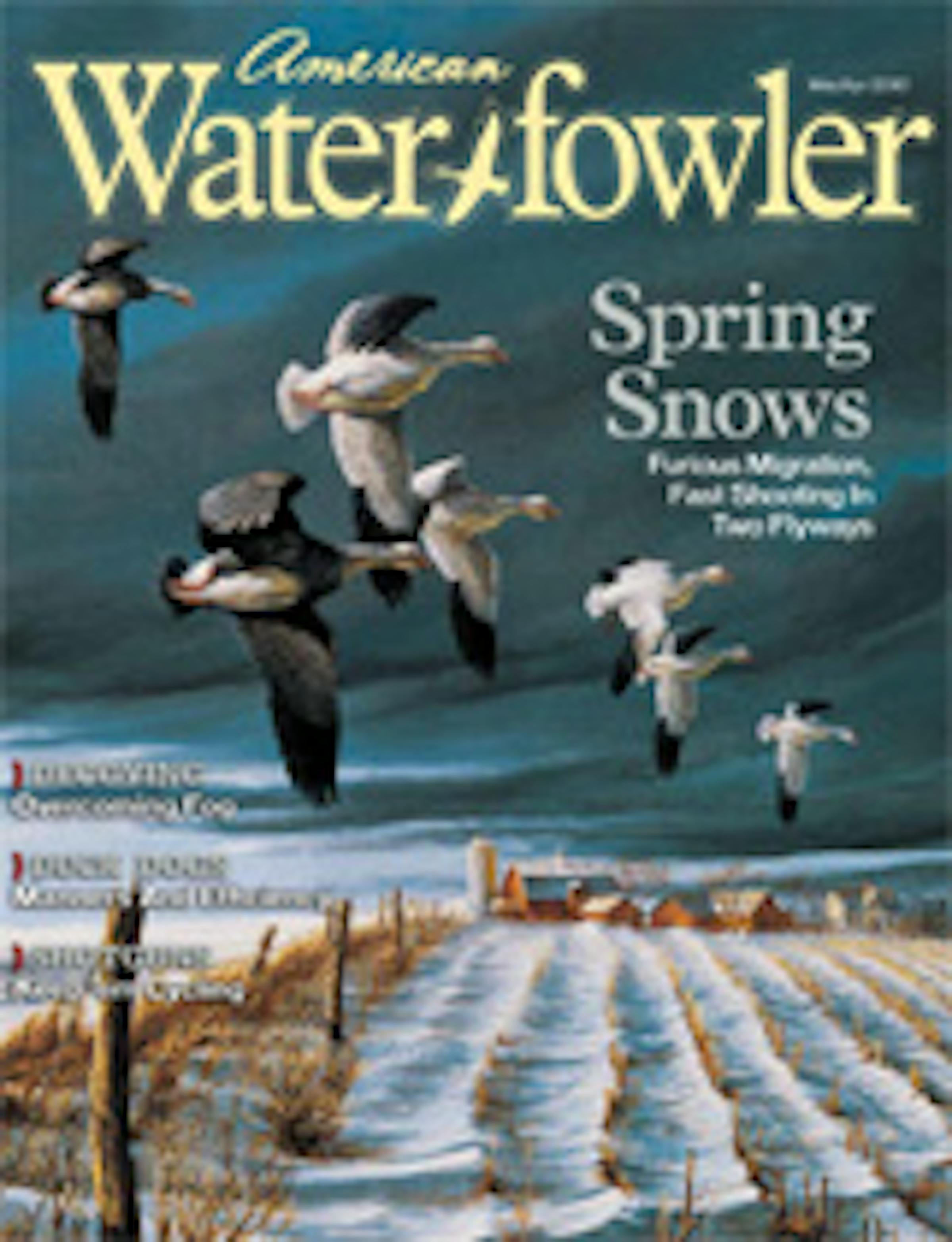 Duck Hunting, Magazines, and Duck Hunting Magazines Ain't Dead Yet