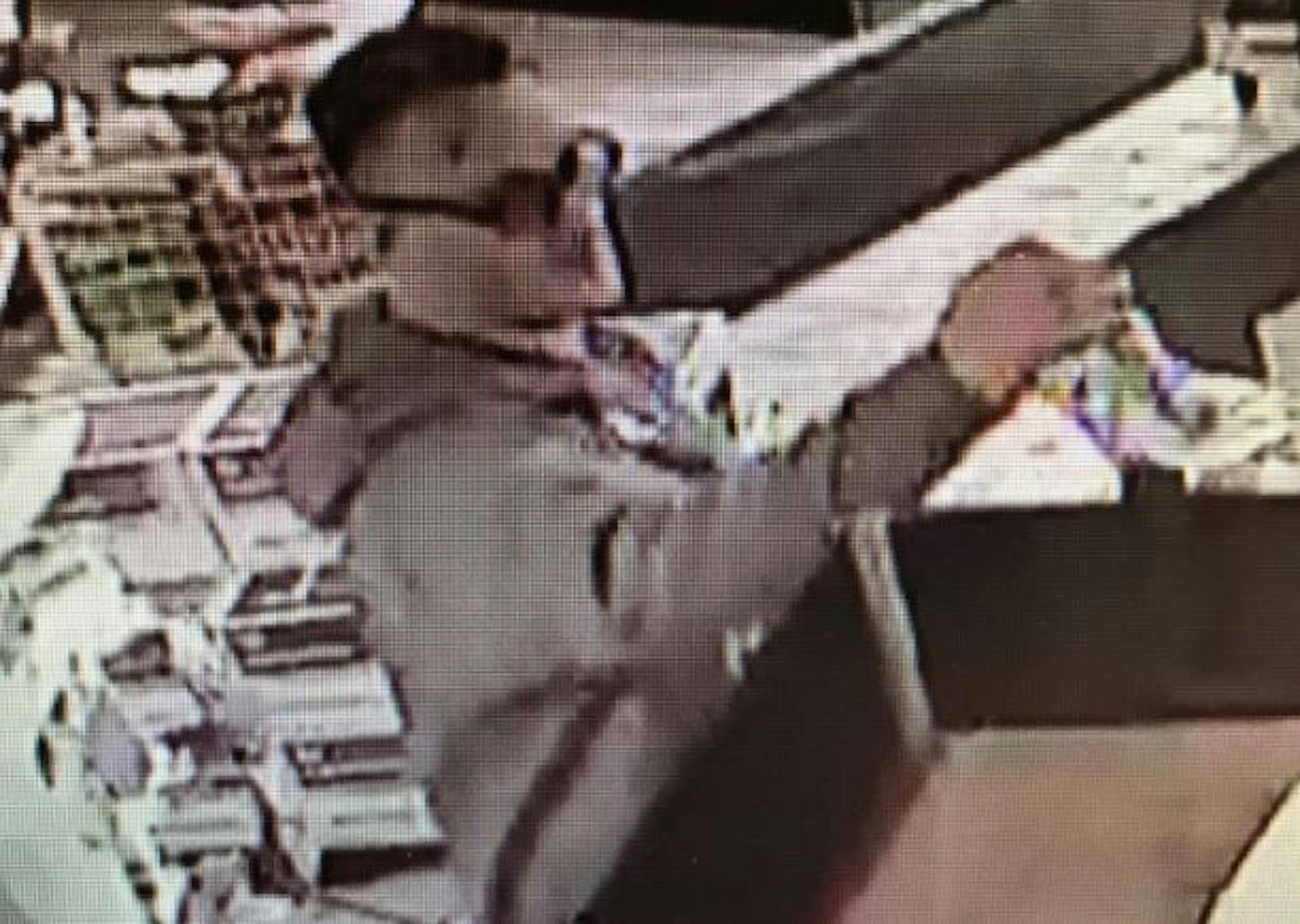 Fatal N. Minnesota crash first described as single-vehicle wreck now ...