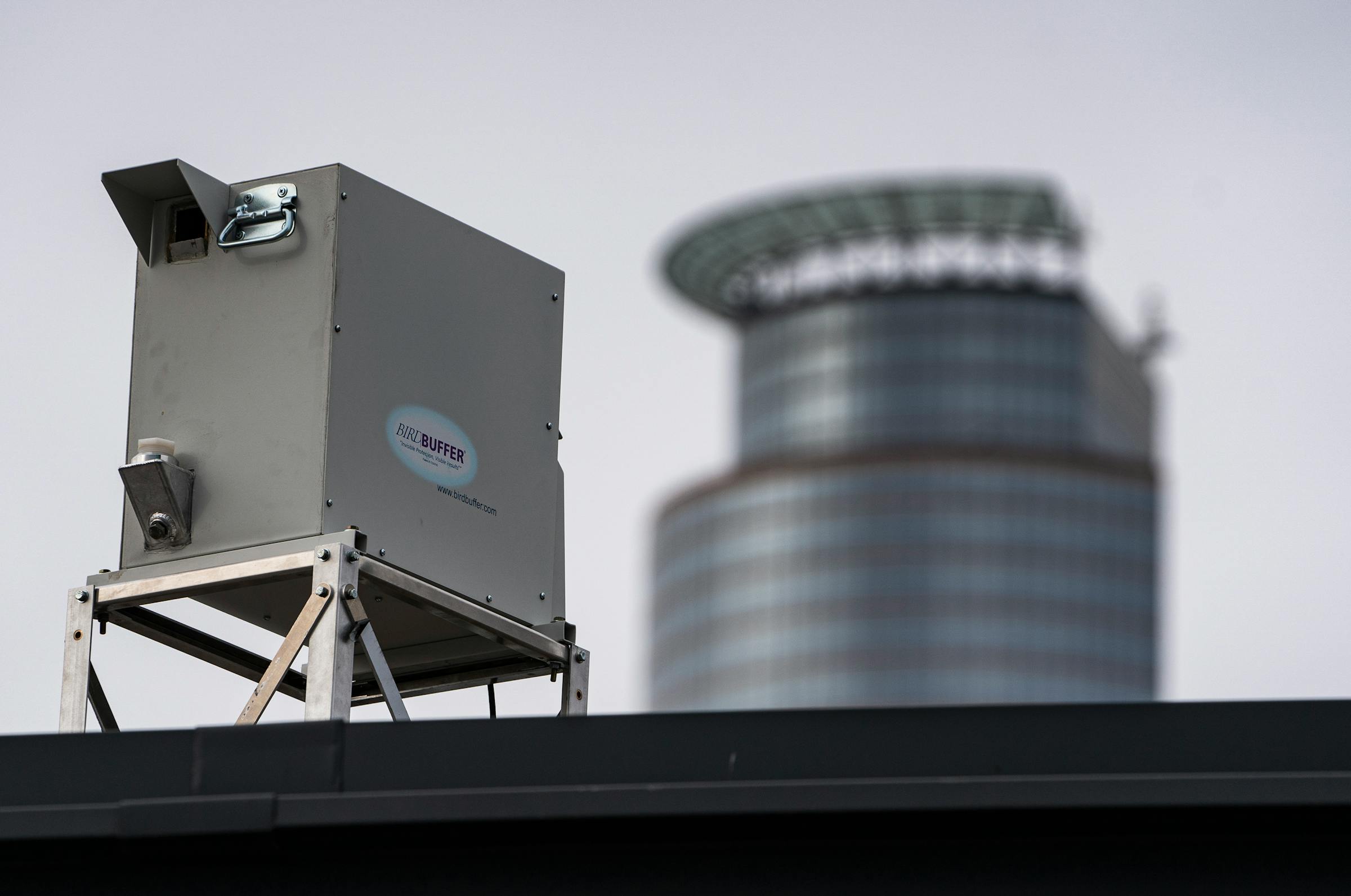 Officials cancel trial run of grape-scented bird deterrent outside U.S ...