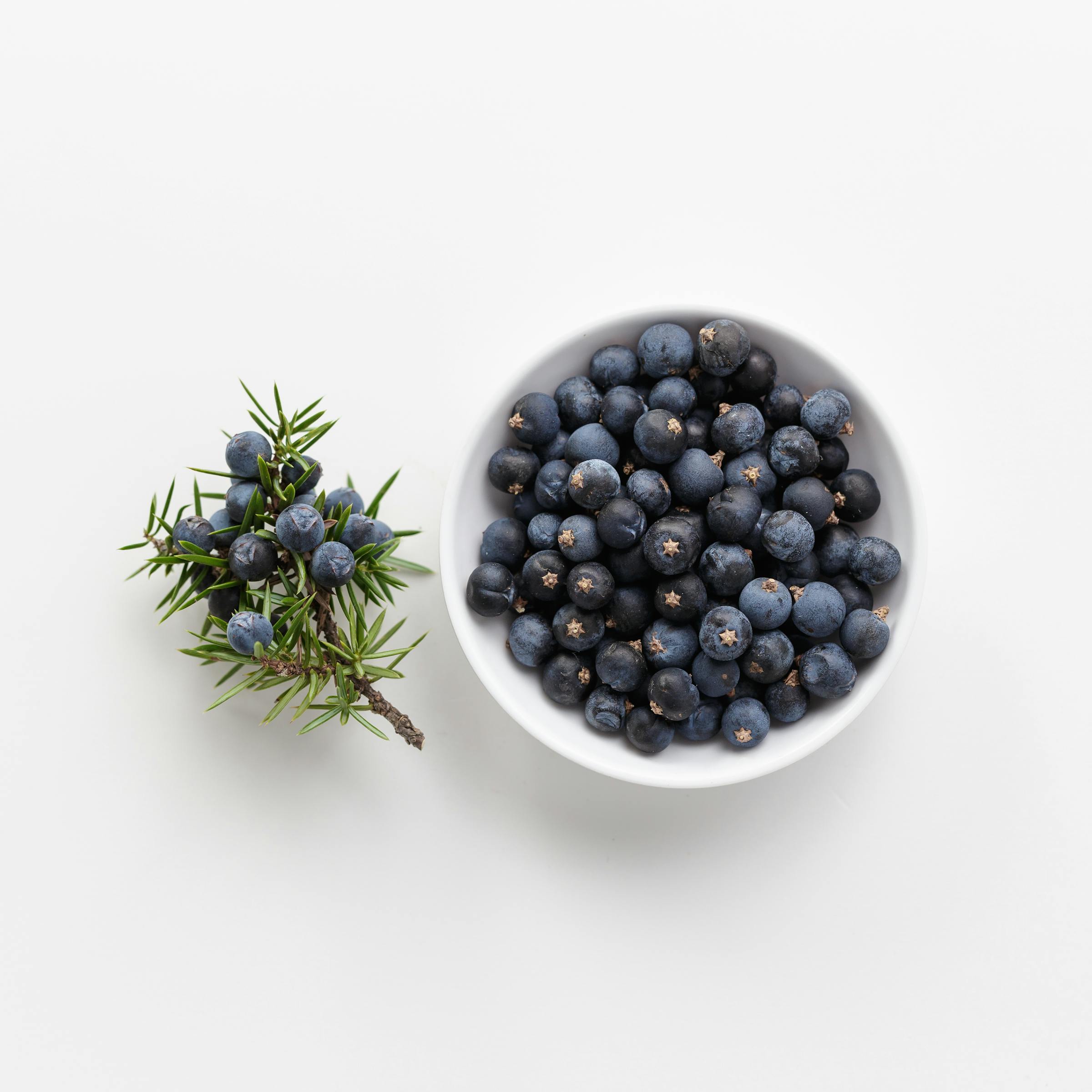 Juniper berries add a taste of the holidays to your favorite foods
