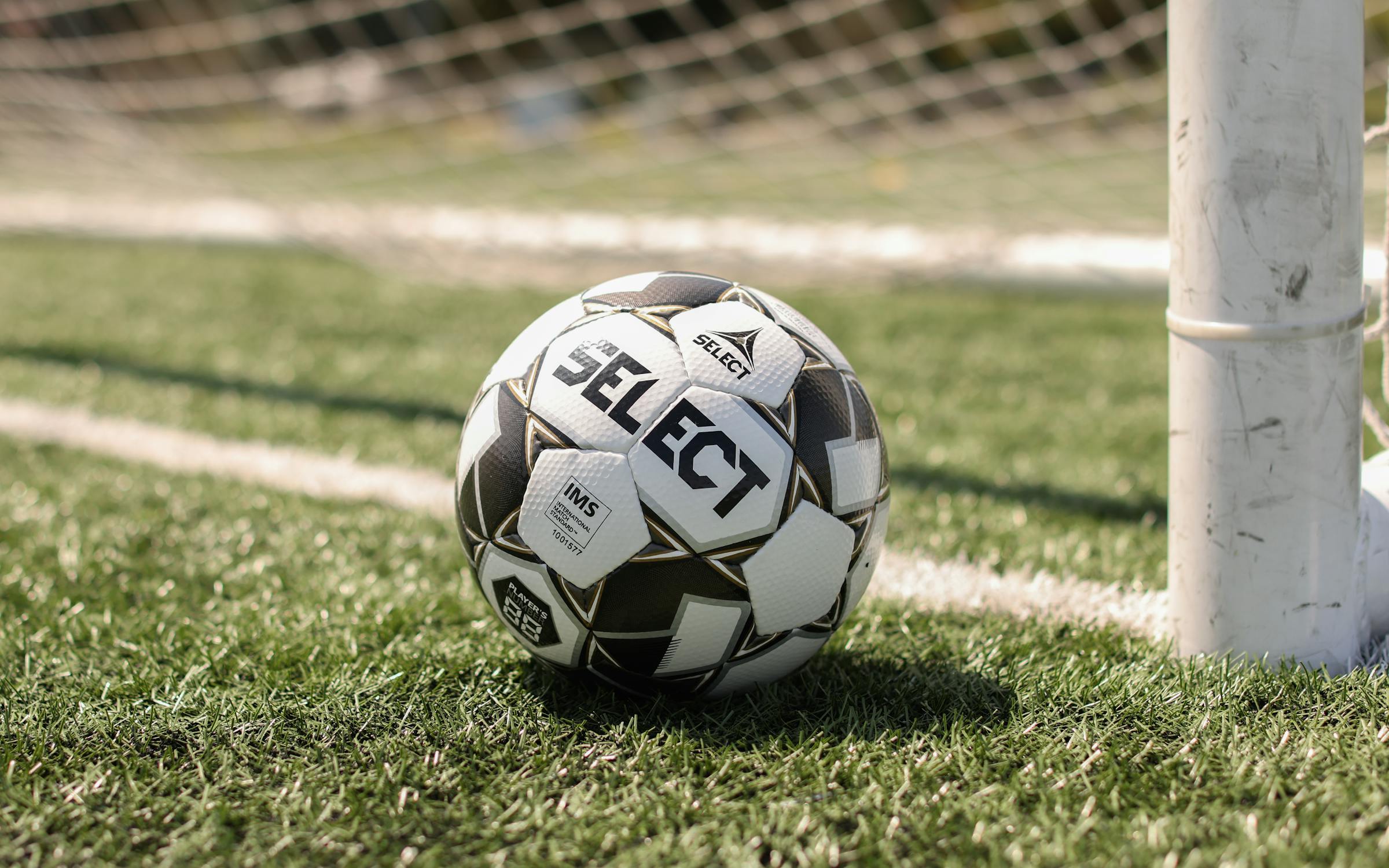 St. Paul Academy rallies past Pine Island/Zumbrota-Mazeppa for boys ...