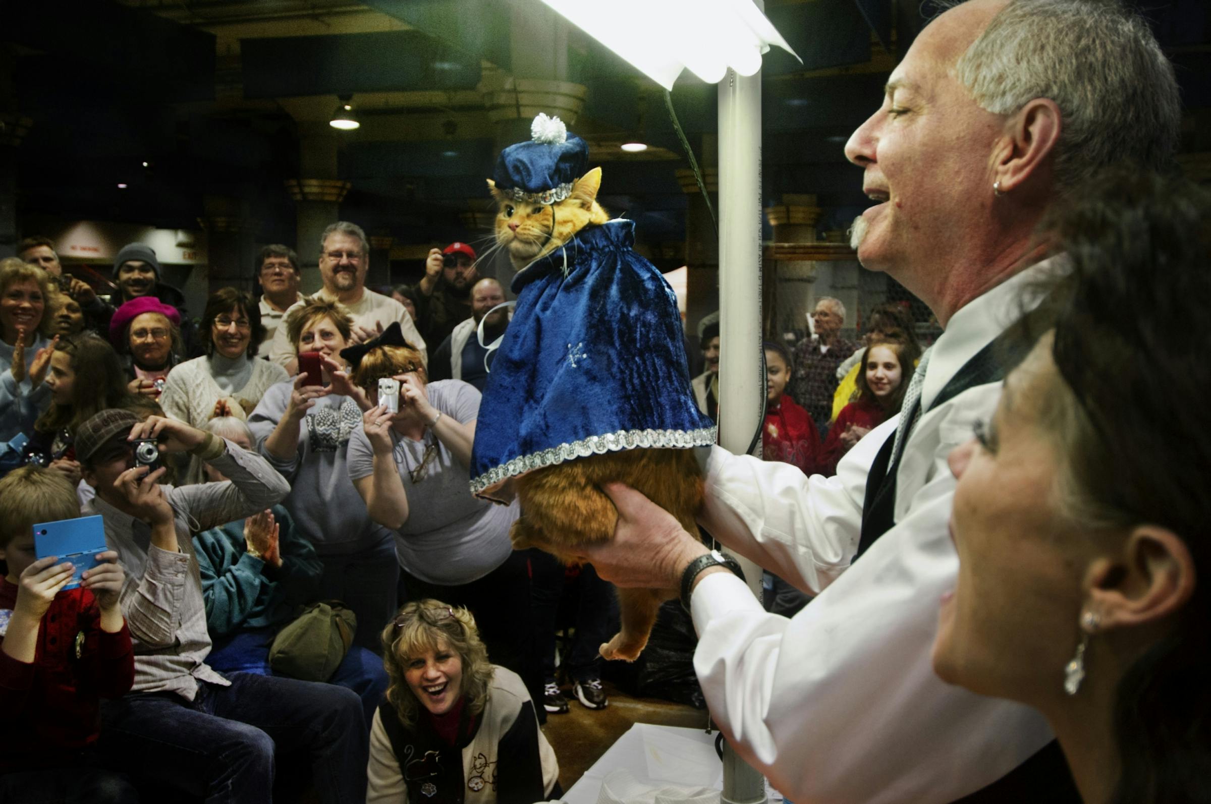 Cat show crowns king, queen